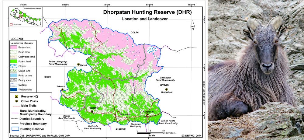 Himalayan Tahr/Blue SheepHunting Expedition in Nepal